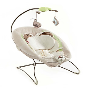 Fisher-Price Snugabunny Deluxe Bouncer