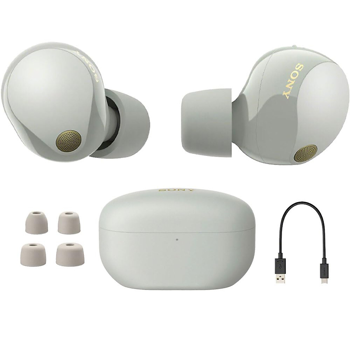 Sony WF-1000XM5 Industry Leading Noise Canceling Truly Wireless Earbuds (Silver) Bundle with Silicone Case (Black), Memory Foam Ear Tips, USB-A to USB-C Cable & 1 YR CPS Enhanced Protection Pack