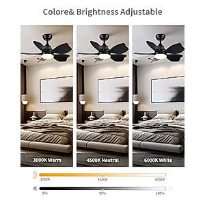 Newday 30" Ceiling Fan with Light and Remote, Small Ceiling Fans with Lights, 5 Reversible Blades 3 Colors Dimmable 6 Speed Ceiling Fan for Bedroom Kitchen Dining Room, Black Ceiling Fan with Light