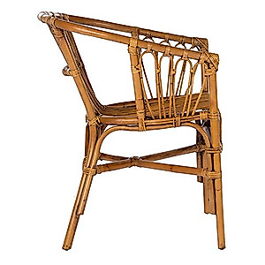 SAFAVIEH Home Adriana Coastal Honey Brown Wash Rattan (Set of 2) Accent Chair (ACH6505C-SET2)