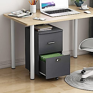 WelFurGeer File Cabinet for Home Office, 2 Drawer Filing Cabinet with Coded Lock, Mobile File Cabinets for Legal/Letter/A4 File, Black