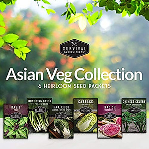 Survival Garden Seeds - Asian Vegetable Collection Seed Vault for Planting - Thai Basil, Napa Cabbage, Canton Pak Choi, Chinese Celery, Green Onions, Watermelon Radish - Non-GMO Heirloom Varieties