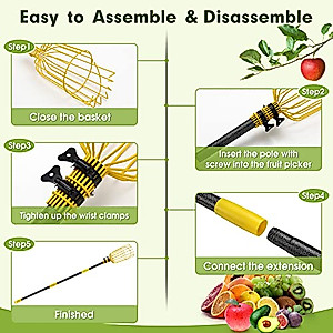INFLATION Fruit Picker Tool,Apple Picker Pole with Basket,5.5 FT Adjustable Fruit Picker Pole with Basket Telescoping,Sturdy Basket with Foam Pad for Picking Avocado Acorn Lemon Pear Mango