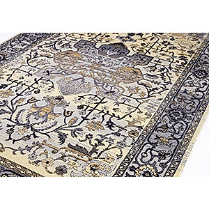Pierre Cardin Cosmos Collection Oriental Design Area Rugs for Living Room Carpets (5' x 8', Multi (CS13D))