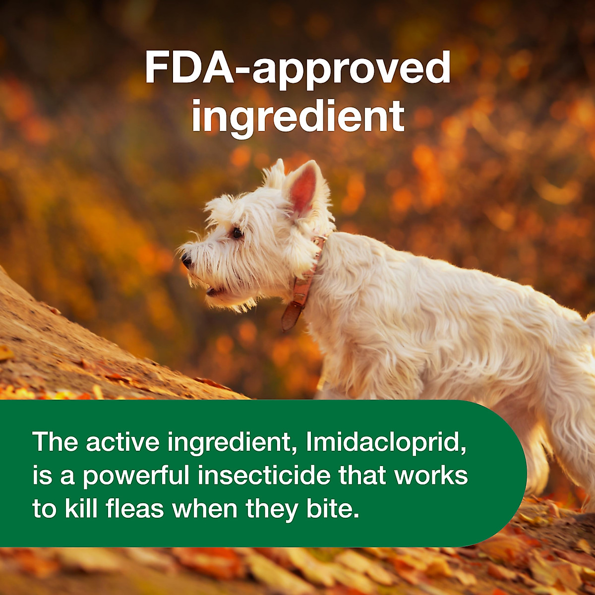 Advantus Dog Advantus Chewable Flea Treatment for Dogs 4 - 22 lbs. | 7 ct.