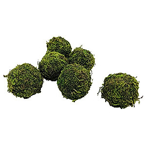 zorpia Natural Preserved Moss Hanging Ball Vase Bowl Filler for Garden, Wedding, Party Decoration (3.5"(6 Pack), Green)