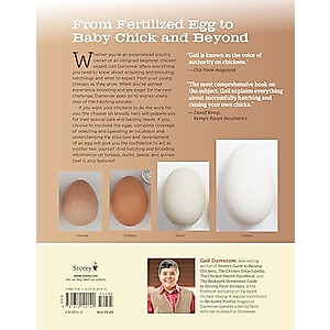 Hatching & Brooding Your Own Chicks: Chickens, Turkeys, Ducks, Geese, Guinea Fowl