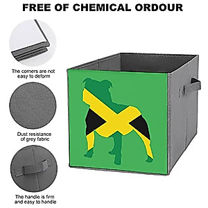 Pitbull Jamaica Flag Collapsible Storage Bins Basics Folding Fabric Storage Cubes Organizer Boxes with Handles