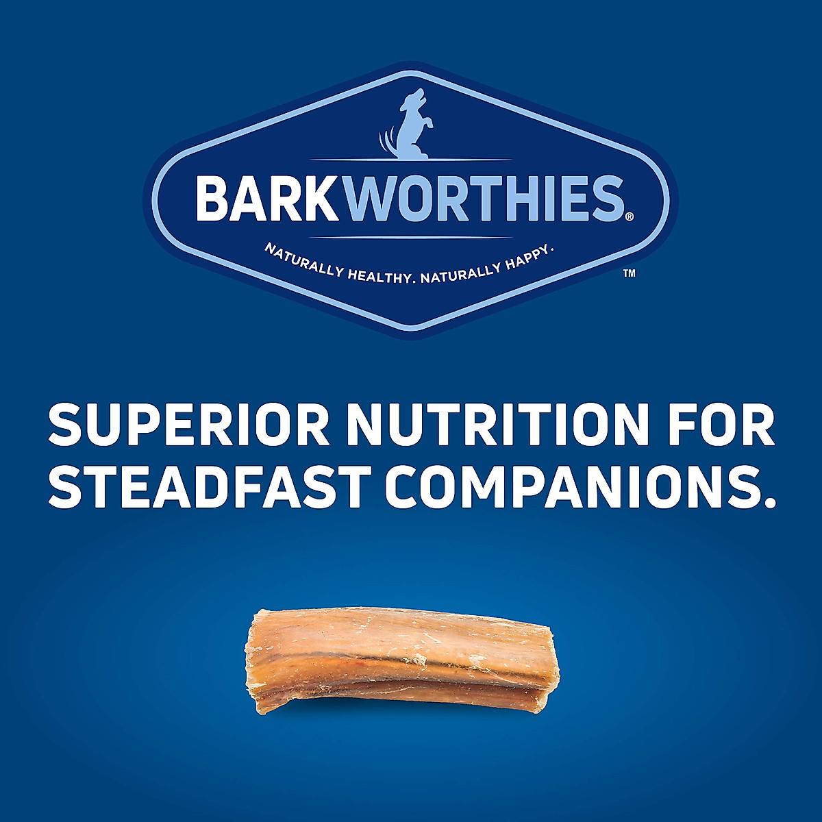Barkworthies Protein-Rich Bully Stick Bites (10oz. Bag) - All-Natural Rawhide Alternative - Easily digestible Dog Treat - Promotes Dental Health