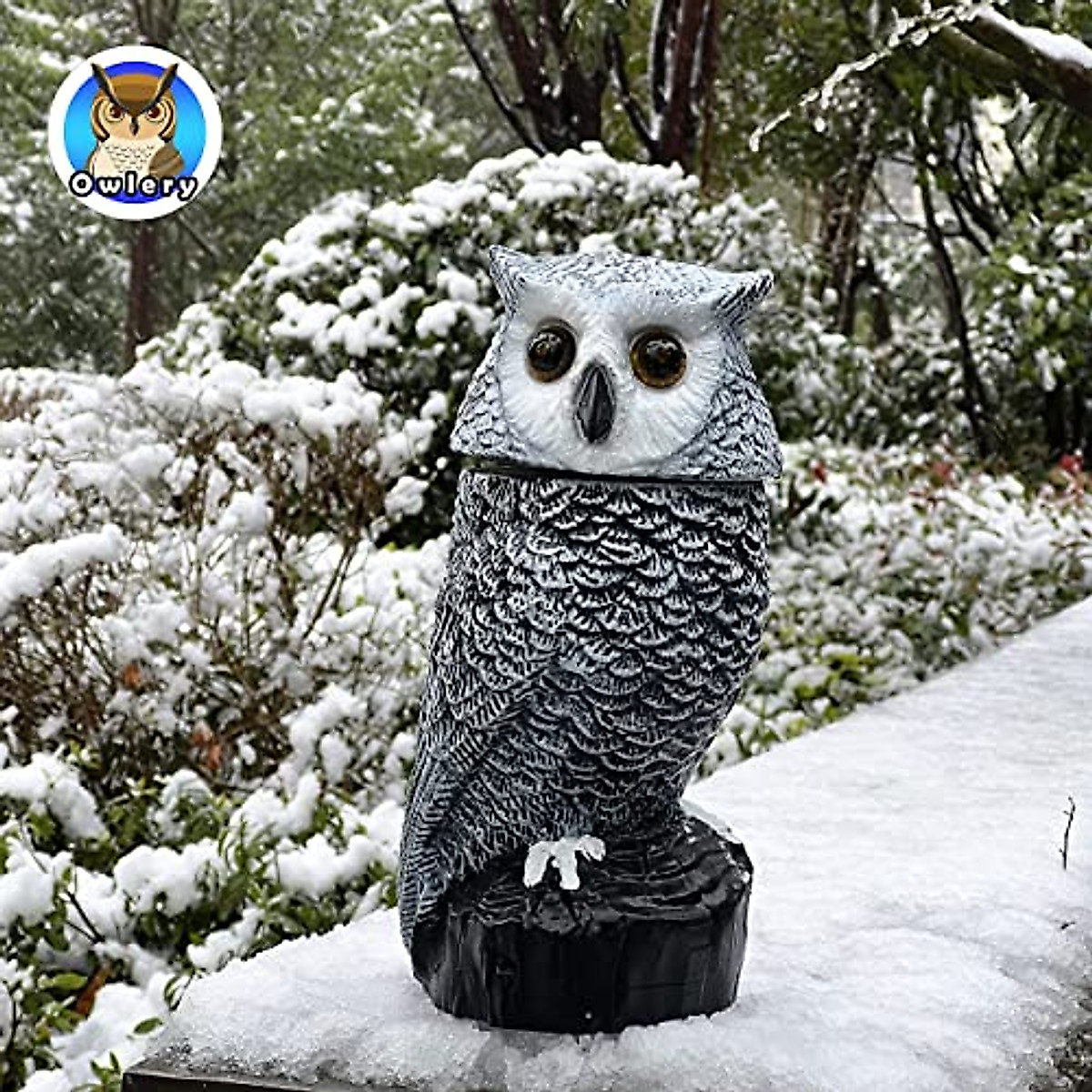 Owlery Solar Owl with Flashing Eyes, Spinning Head and Realistic Tweets, Plastic Owl Decoration for Home, Garden, Patio and Fence