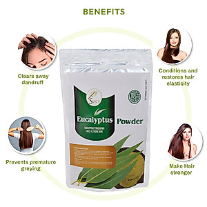 SVATV Eucalyptus Powder | Eucalyptus Staigeriana | For Hair Growth | Soothes The Scalp | Good for Skin | Size - 227g, Half Pound, 8oz