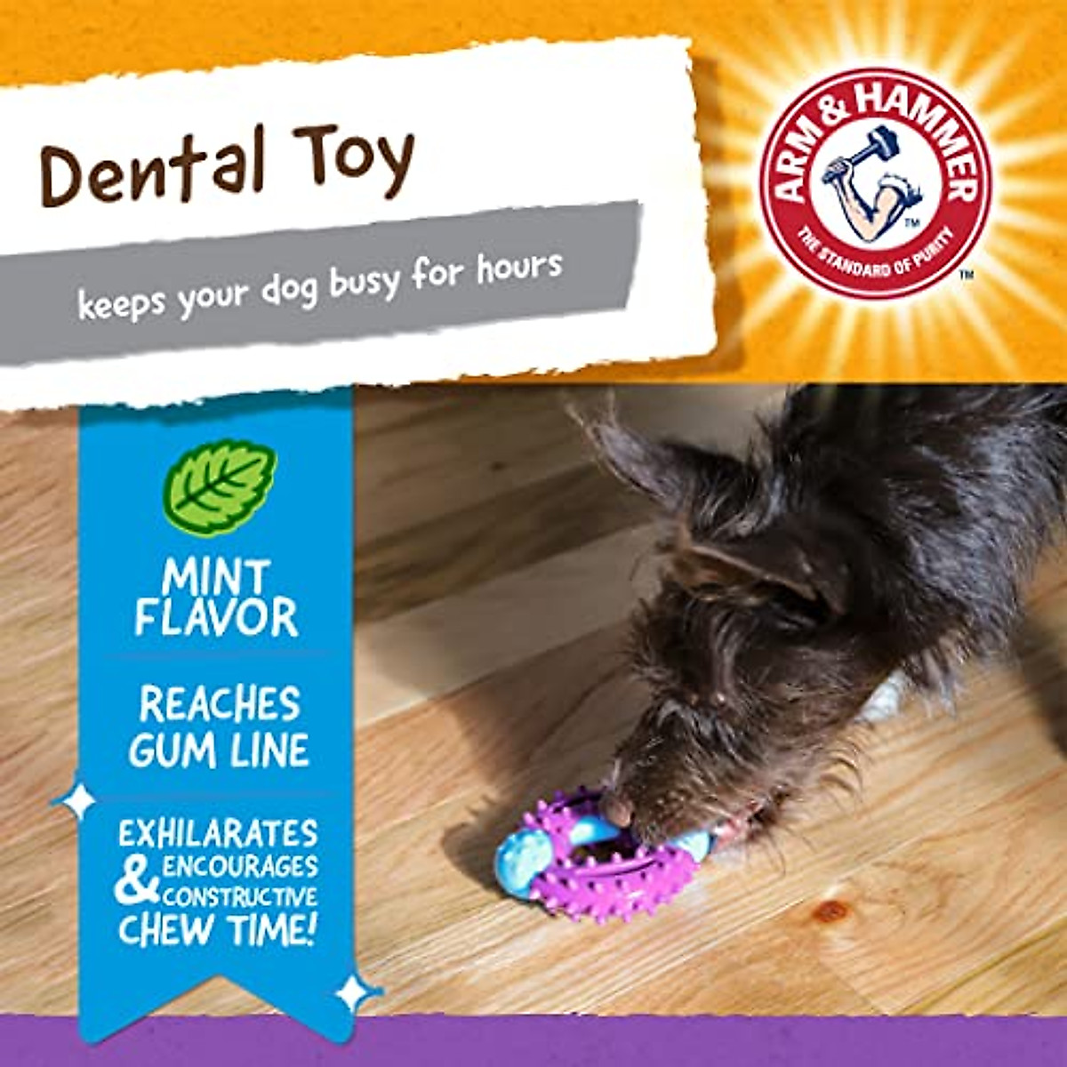 Arm & Hammer for Pets Nubbies Orion Dog Dental Toy| Best Dog Chew Toy for Moderate Chewers | Dog Dental Toy Helps Reduce Plaque & Tartar Without Brushing (Pack of 1)