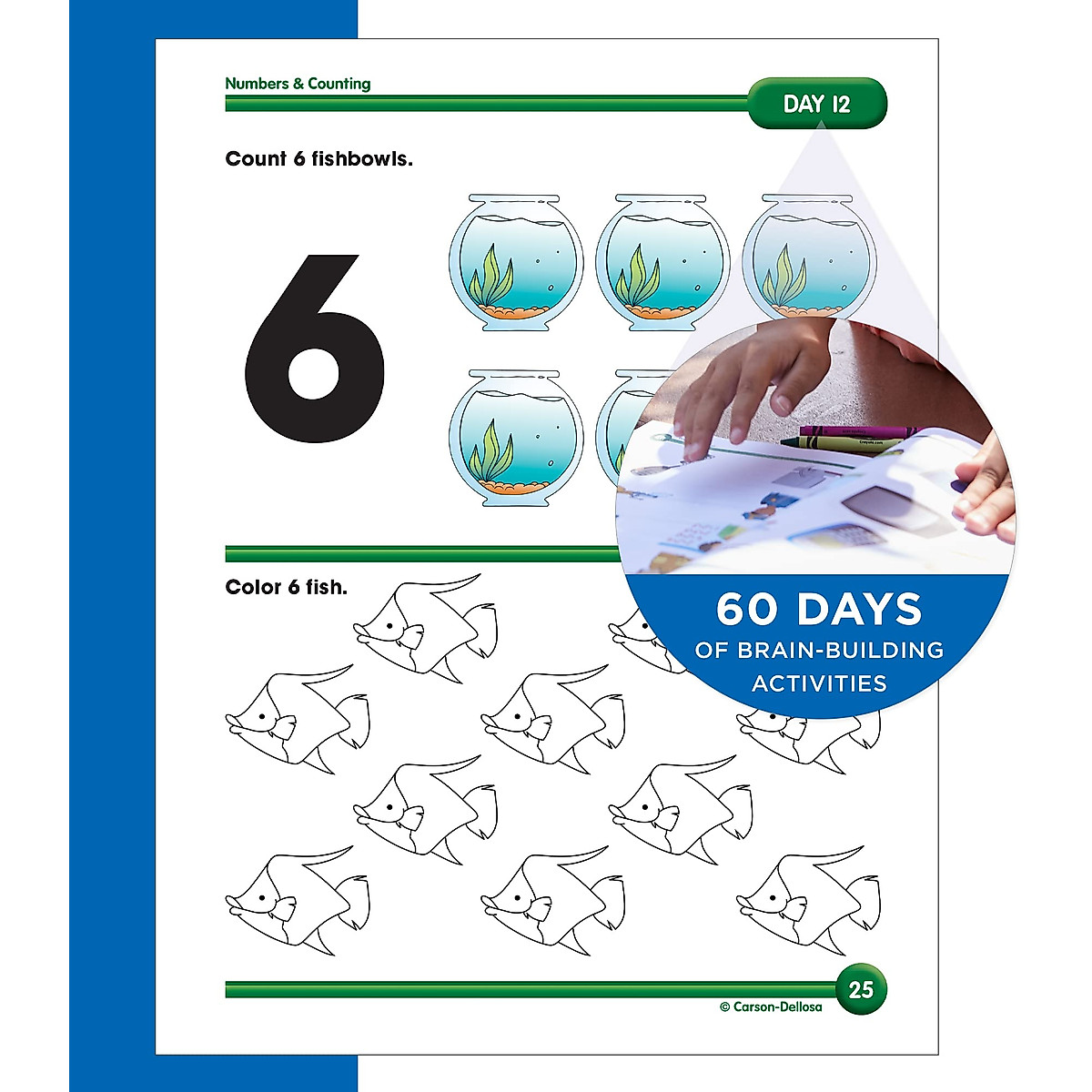 Summer Bridge Activities Preschool to Kindergarten Workbooks, Phonics, Handwriting, Math, Early Learning Summer Learning Activities, Kindergarten Workbooks All Subjects With Flash Cards