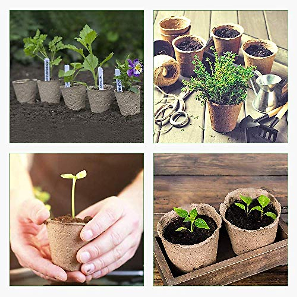 GROWNEER 60 Packs 2.4 Inch Peat Pots Plant Starters for Seedling with 25 Pcs Plant Labels, Biodegradable Herb Seed Starter Pots Kits, Garden Germination Nursery Pot