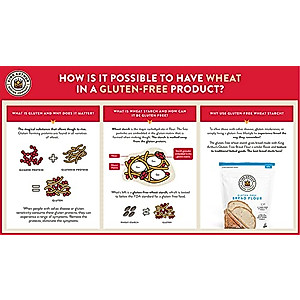 King Arthur Bread Flour, Gluten Free, 1:1 Flour Replacement great for yeasted recipes, 2lbs
