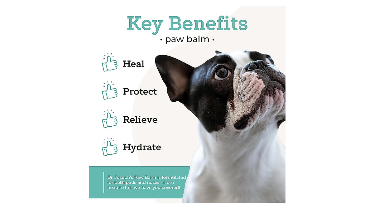 VetPro Complete Dog Paw Balm - Natural Protection