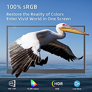 Portable Monitor 4K - 15.6inch UHD 3840×2160 100% sRGB USB-C Mini HDMI External Second Monitor Portable IPS Screen Computer Display with Speakers for Laptop MacBook Switch PS5/4 Xbox