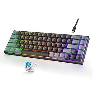 Taiahiro 60% Mechanical Gaming Keyboard, RGB Backlit 68 Keys Ultra-Compact Wired Keyboard with Blue Switch, Full Anti-Ghost, Type-C, Portable Mini Office Keyboard for PC Laptop Win/Mac, Black&Gray