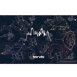 Tervis Harry Potter - Marauder's Constellation Triple Walled Insulated Tumbler Cup Keeps Drinks Cold & Hot, 20oz, Stainless Steel