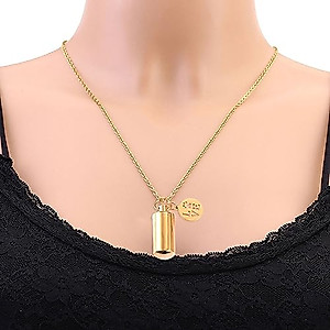 Stainless Steel Pet Urns Holder Necklace For Dogs Cats Pet Memorial NecklaceKeepsake Loss Pet Memory Urn Holder Jewelry Memorial Jewelry For Pets Ashes Container Pendant For Pets Pet Memorial Necklace