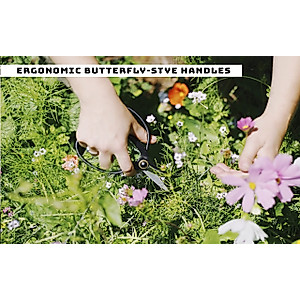 Bonsai Pruning Scissors for indoor outdoor gardening, Higurashi Bonsai Shears in a bamboo gift box, Versatile tool for use around the kitchen, house and garden