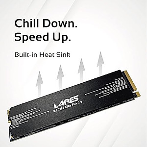 LEVEN JPS600 1TB PCIe NVMe Gen3x4 PCIe M.2 2280 SSD with Thermal Pad and Heat Sink