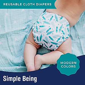 Simple Being Reusable Cloth Diapers, One Size Adjustable, Washable Soft Absorbent, Waterproof Cover, Eco-Friendly Unisex Baby Girl Boy, six 4-Layers Microfiber Inserts (Planes/Trains)