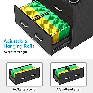 LITTLE TREE Lateral File Cabinet with 2 Drawers, 31.5 Inches Large Filing Cabinet for Hanging Letter/Legal/F4/A4 Size Files with Lock, Home Office, Black