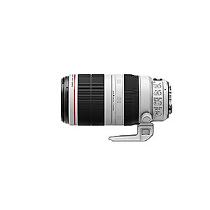 Canon EF 100-400mm f/4.5-5.6L is II USM Lens, Lens Only