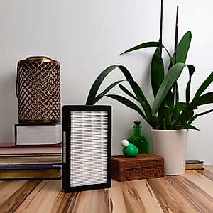 Filter Bros HEPA Filter E Replacement Fits GermGuardian FLT41002PK AC4100 AC4175