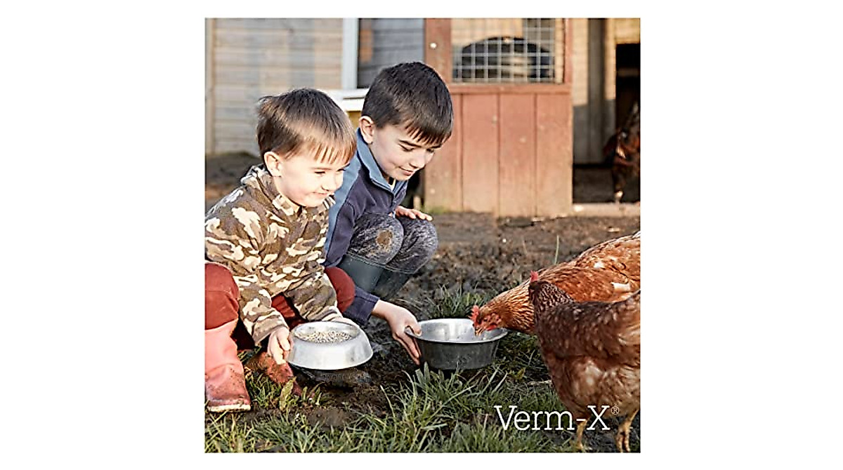 Verm-x Liquid for Poultry Care - Natural Parasite Control