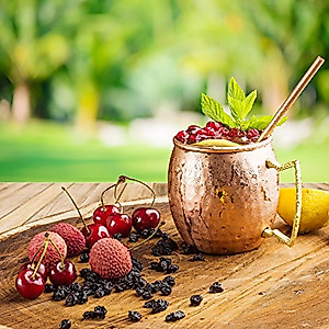 Copper-Bar Moscow Mule Copper Mugs - Set of 2-100% HANDCRAFTED Pure Solid Copper Mugs - 16 Oz, Gift Set + Cocktail Copper Straws, Copper Shot Glass & Copper Stirrer