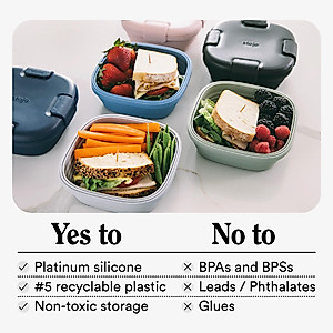 STOJO Collapsible Sandwich Box – 24oz, Reusable Food Storage Container, Silicone Bowl for Hot/Cold Food – Meal Prep, Lunch, Camping, Hiking – Dishwasher Safe (Set of 1, Carnation)