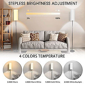 Karjoefar Floor Lamp for Living Room, Modern Floor Lamp with Remote Control, Stepless Dimmable 12W Bulb Included, Standing Lamp Tall Lamps for Living Room Bedroom