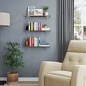 Wallniture Colmar Floating Shelves, Bookshelf Living Room Decor, Kitchen Organization Bathroom Organizer & Wall Shelves for Bedroom Decor Walnut Finish 24"x4.5" Set of 3