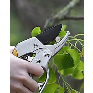 Premium Bypass Pruning Shears,Garden clippers, Gardening scissors,ratchet pruners shears, for orchard,tree, floral, live plants, arthritis weak hand gardening tools (Modern)