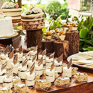 TOFLEN 100ct 1 oz Mini Dessert Plates with Tasting Spoons - Reusable Clear Plastic Square Party Serving Trays Mini Plates for Appetizers, Chocolates, Ice Cream, Fruit and More