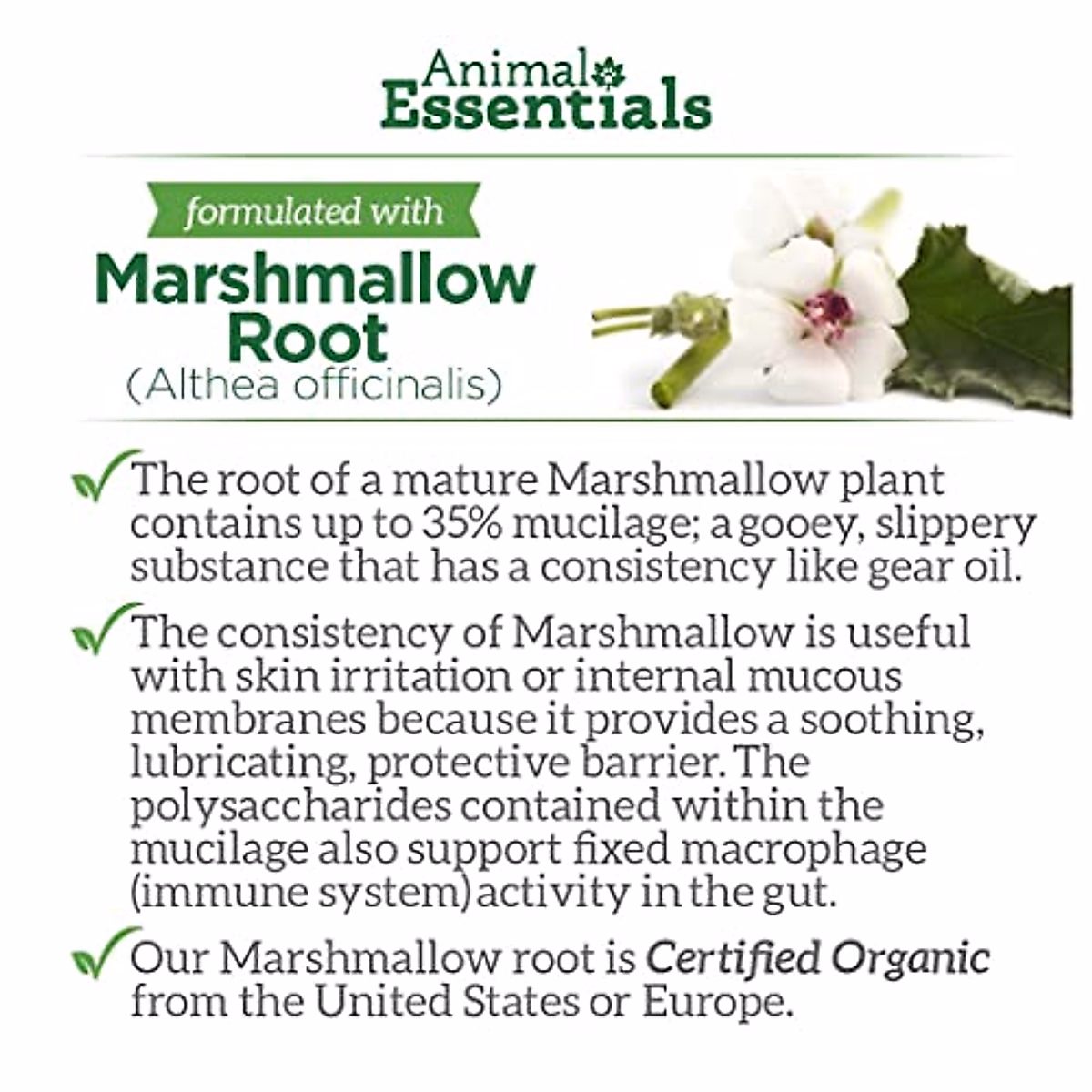 Animal Essentials Colon Rescue Herbal GI Support for Dogs & Cats, 2 fl oz - Made in USA Digestive Aid, Phytomucil Blend