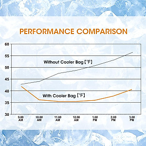 AIEVE Freezable Snack Bag, Small Cooler BagsSnack Box Container for Travel Lunch (with 4pcs Popsicle Bag)