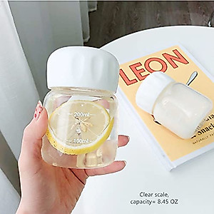 yaocoral Reusable Cute Mini Glass Coffee Tea Juice Milk Bottle with Measurement Microwave Safe,Portable Small Travel Clear Glass Water Bottle Cup for Adults Girls(white), 8.45 ounce