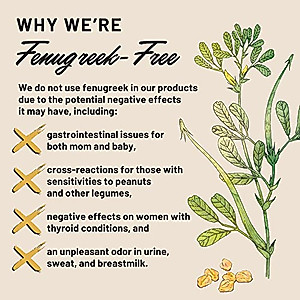 Legendairy Milk Cash Cow Lactation Supplement, Moringa, Alfalfa, and Goat's Rue Breastfeeding Supplement for Milk Supply Increase, Fenugreek-Free, Certified Organic, Vegan, Non-GMO, 60 Capsules