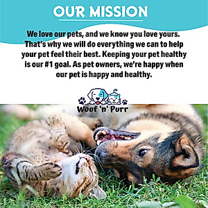 Dog Multivitamin - Multivitamin for Dogs - Helps to Support a Healthier Life - Dog Vitamins and Supplements - Dog Vitamins Multivitamin - Dog Supplements & Vitamins - 1 fl oz - Bacon Flavor