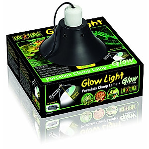 Exo Terra Glow Light Porcelain Clamp Lamp, 10-Inch Long