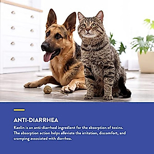 NaturVet Anti-Diarrhea Liquid Pet Supplement Plus Kaolin – Helps Alleviate Discomfort, Cramping, Irritation From Diarrhea for Dogs, Cats – Great Taste – 8 Oz.