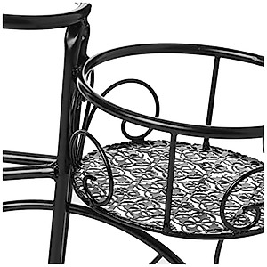 Pure Garden HW1500188 Tricycle Plant Stand Â– 2-Tiered Indoor or Outdoor Decorative Vintage-Look Metal Display for Patio, Deck, Home or Lawn, Matte Black