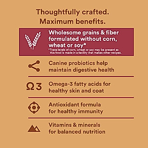 WholeHearted Whole Grains with Pork Beef & Lamb Dry Dog Food 30 lbs.