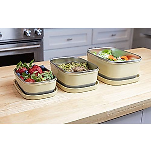 MIRA Reusable Stainless Steel Food Storage Containers, Bento Lunch Box with Anti-Slip Exterior for Meal Prep, Portion Control, Kitchen Food Storage - Set of 3 (2 cups, 4 cups, 6 cups), Honey