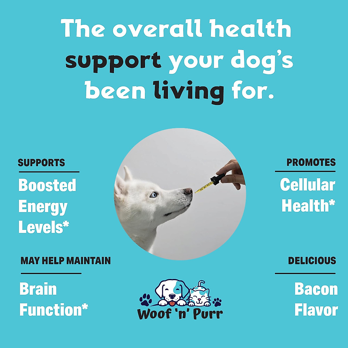Dog Multivitamin - Multivitamin for Dogs - Helps to Support a Healthier Life - Dog Vitamins and Supplements - Dog Vitamins Multivitamin - Dog Supplements & Vitamins - 1 fl oz - Bacon Flavor