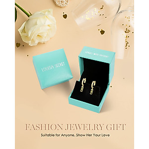 14K Gold Plated Drop Earrings, LOUISA SECRET Sterling Silver Earrings for Women, Dainty Birthstone Earrings with Zirconia, Anniversary Birthday Wedding Christmas Jewelry Gift for Mom