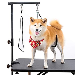 Breeze Touch Dog Grooming Table Arm - 35" Stand Arm with Clamp and Post, Loop Noose, No Sit Haunch Holder Grooming Restraint for Small & Medium Dogs